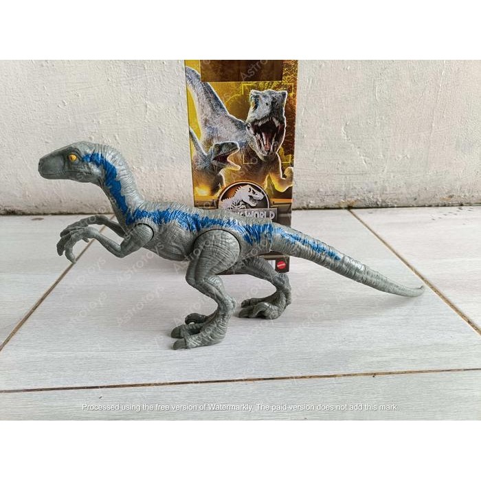 Jual Jurassic World Mattel Dino Velociraptor Blue 38Cm / Mainan Anak ...