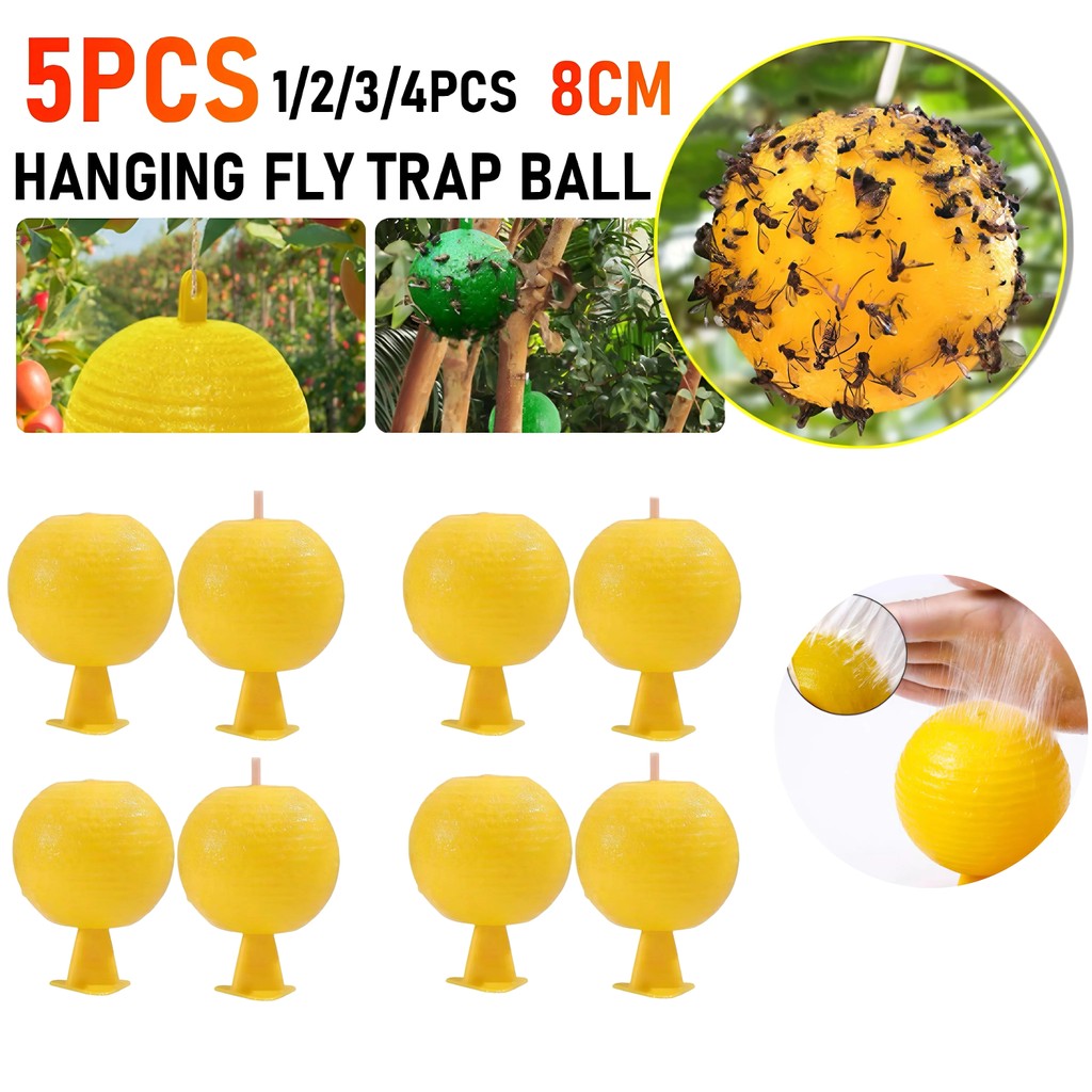 Jual Multifunctional Fruit Fly Trap Citrus Color Sticky Flying Insect ...