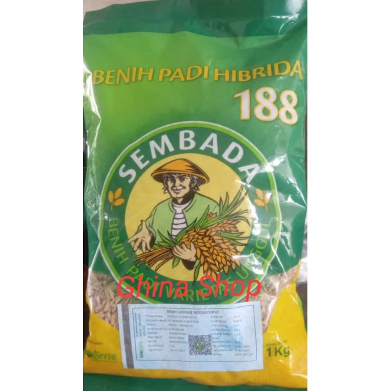 Jual Benih Padi Hibrida Sembada 188 Kemasan 1Kg | Shopee Indonesia