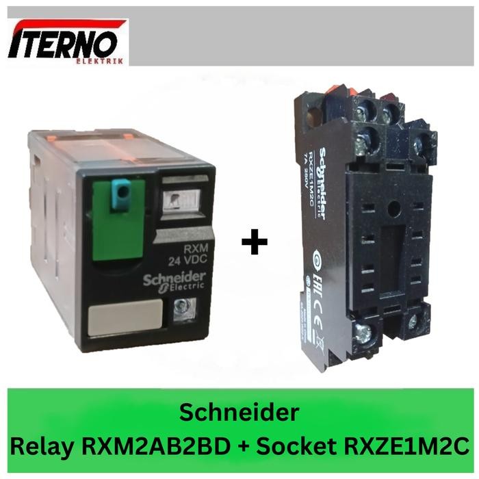 Jual Rxm2Ab2Bd 24Vdc Relay Schneider Socket Rxze1M2C Setara My2N 8 Kaki ...