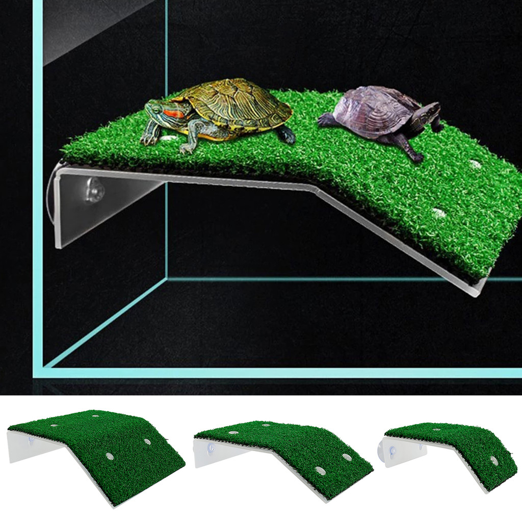 Jual Fish Tank Lawn Turtle Basking Platform Turtle Climbing Platform ...