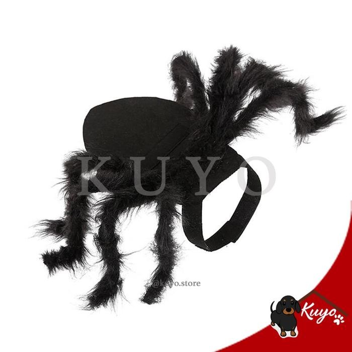 Jual Kostum Anjing Kucing Model Laba-laba /Dog Cat Spider Halloween ...