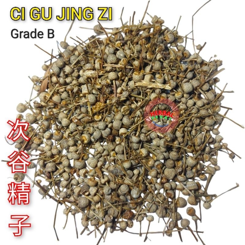 Jual 100 Gram Zheng Gu Jing Zi / Gu Jing Zi Pipewort Scapus Eriocaulon ...