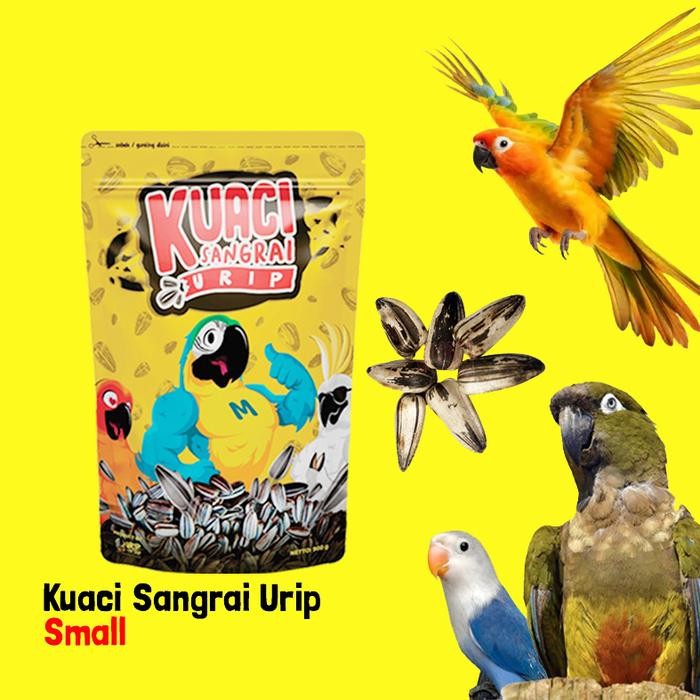 Jual Kwaci Sangrai Untuk Burung Kakatua, Sun Conure, Falk 1Kg | Shopee ...