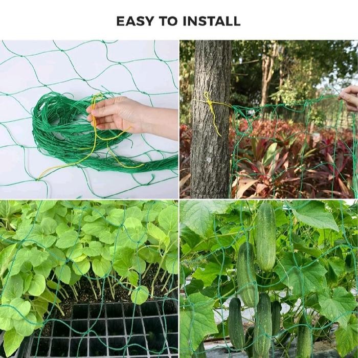 Jual JTTOP" JARING TANAMAN BUAH RAMBAT PE 10CMX10CM WARNA HIJAU TERANG ...