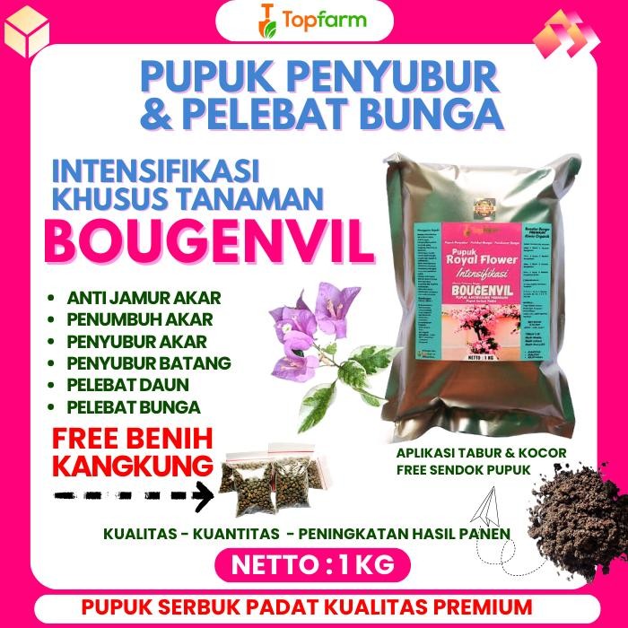 Jual Pupuk Bugenvil Terbaik Pupuk Serbuk Bunga Bugenvil Pupuk