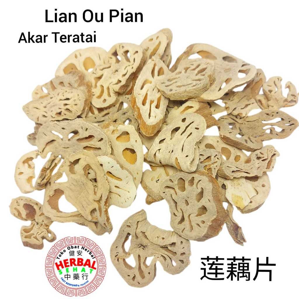 Jual Akar Teratai Iris Kering 100 Gram Lian Ou Pian Lotus Rhizome Node ...