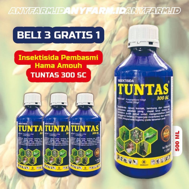 Jual TUNTAS 300 SC - INSEKTISIDA 500ML TERBAIK UNTUK PADI, CABAI, DAN ...