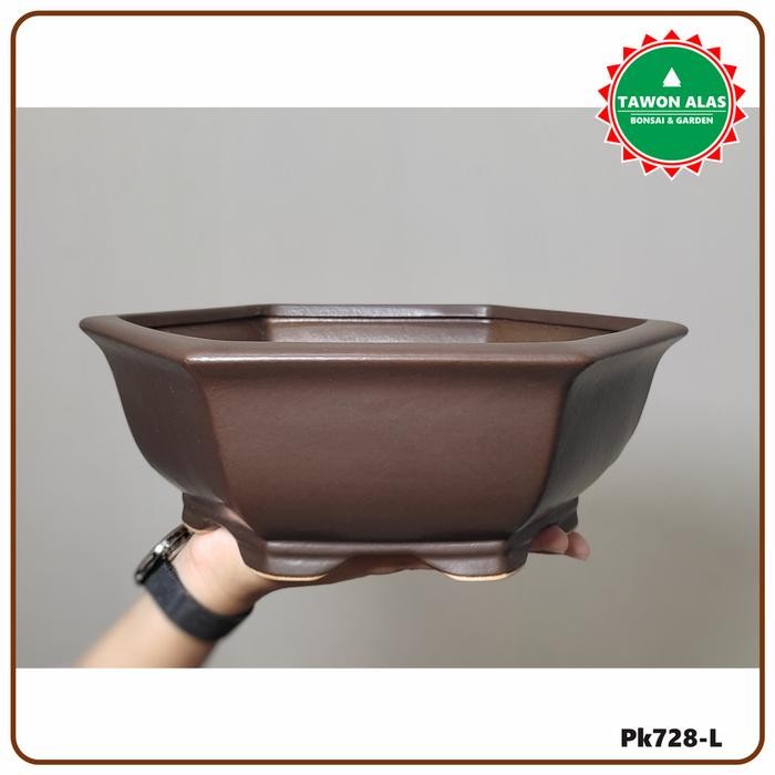 Jual Pot Keramik Bonsai, Sukulen, Kaktus, dan Tanaman Hias Segi Enam ...