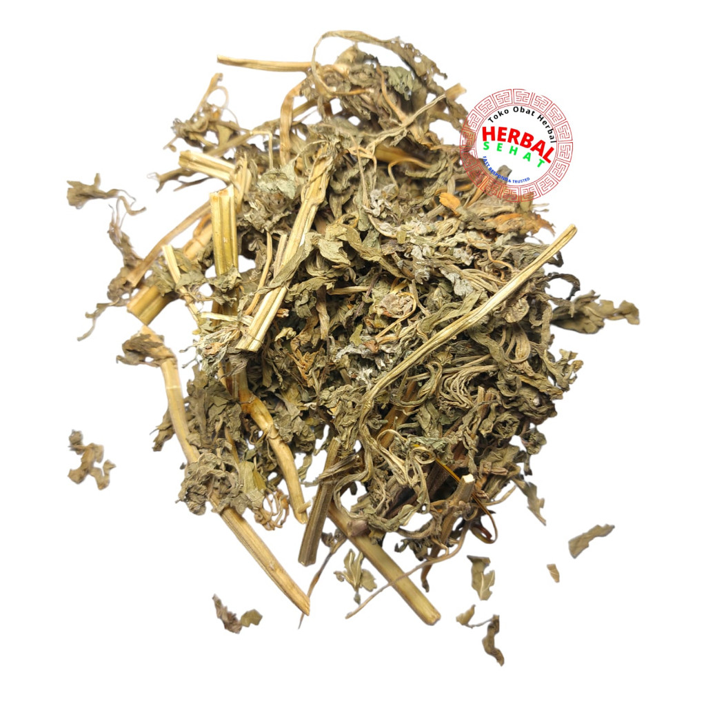 Jual Yi Mu Cao 600 Gram Ik Mu Cho Chinese Motherwort Herba Leonuri ...