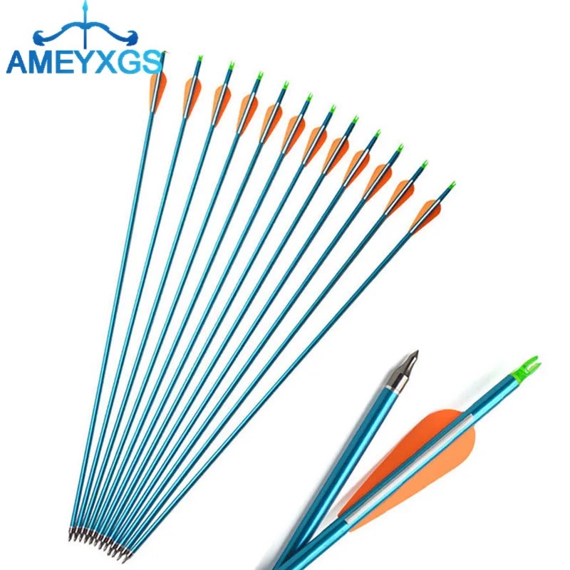 Jual 30" Archery Compound Bow Aluminum Arrow Spine 500 Hunting Recurve Bow Arrows Changeable ...