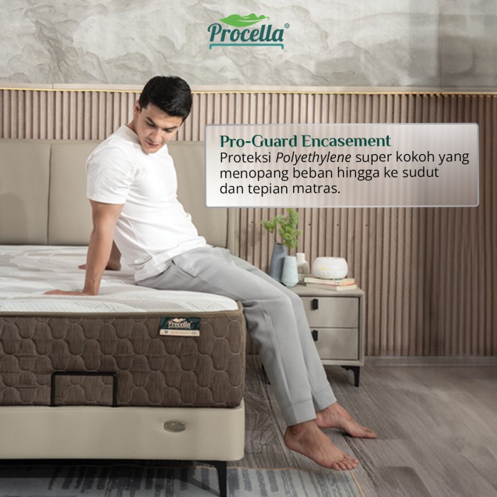 Jual Procella Motion Rest Springbed Kasur Kesehatan Lipat Elektrik ...