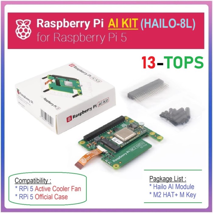 Jual TERMURAH! OFFICIAL RASPBERRY PI AI KIT - HAILO ARTIFICIAL ...