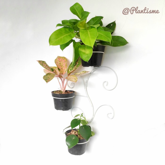 Jual Rak Tanaman Dinding Wall Planter Vertikal Garden 3 Pot 18Cm - 25Cm ...