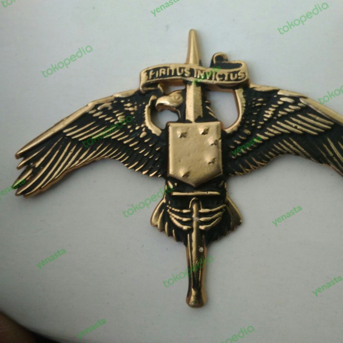 Jual brevet wing US MARSOC Badge Marine Corps Forces Special Operations ...