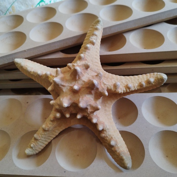 Jual Mntb" Bintang Jenderal | Shopee Indonesia