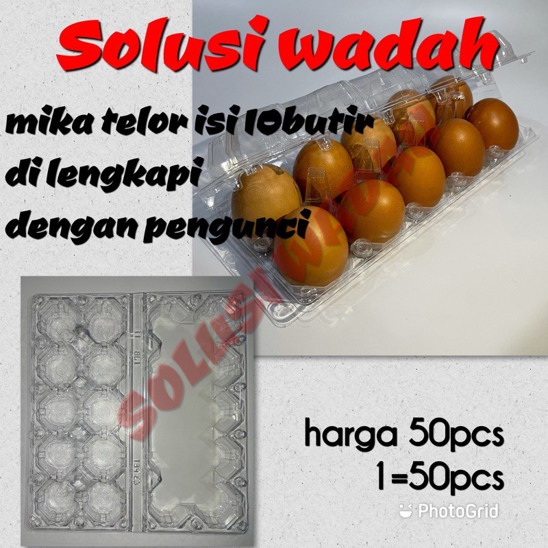 Jual [50 PCS] Mika Telur isi 10 butir sudah ada pengunci | Shopee Indonesia