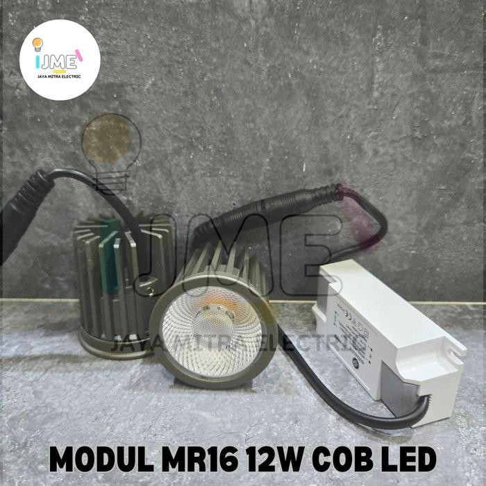 Jual PREMIUM Lampu LED Modul Mr16 12W COB Module Mr16 12 Watt COB ...