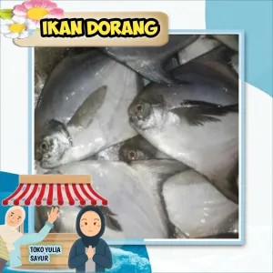 Jual Ikan Dorang | Shopee Indonesia