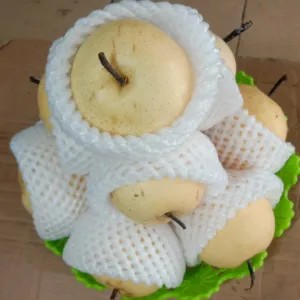 Jual Mini parcel Pir madu 8kg | Shopee Indonesia
