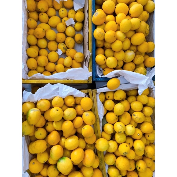 Jual Lemon California Lokal Fresh Dari Kebun 1Kg by EmmaFreshLemon ...