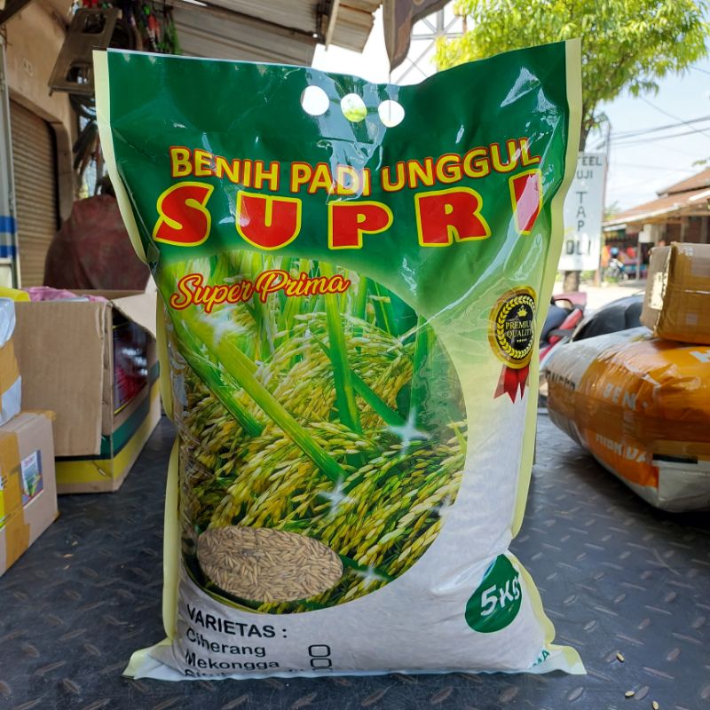 Jual BENIH PADI INPARI 32 SUPRI SUPER PRIMA 5 KG PREMIUM QUALITY ...