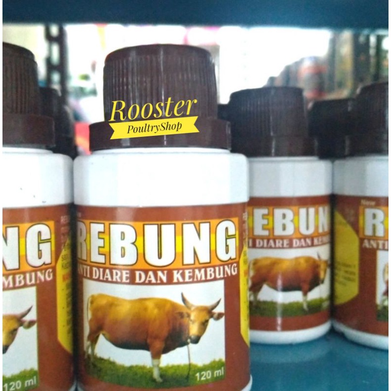 Jual Obat Sakit Diare dan Kembung Sapi REBUNG SAPI 120 m | Shopee Indonesia