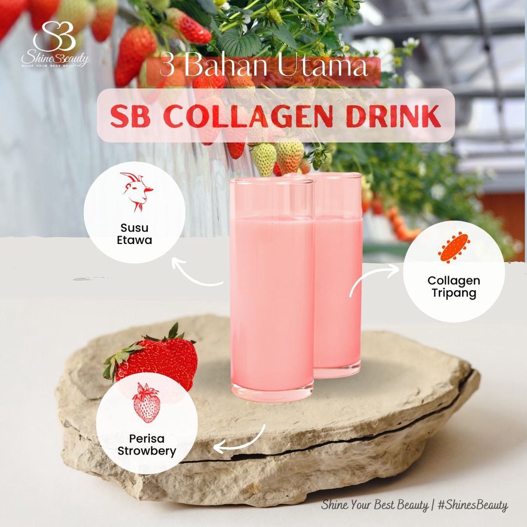 Jual Radiza Market - Reseller Shine Beauty Collagen Drink 4 Box ...