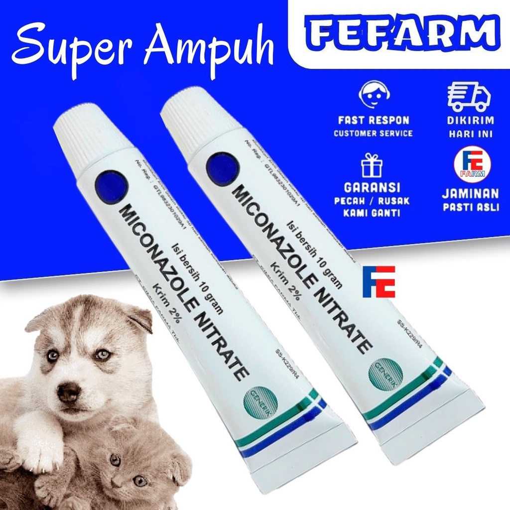 Jual Obat Salep Miconazole Nitrate 10g Jamur Luka Infeksi Kucing Anjing ...