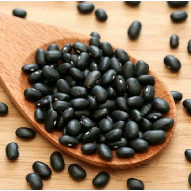 Jual 7 biji benih bibit Kacang Kedelai hitam super | Shopee Indonesia