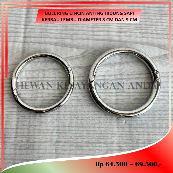 Jual Bull Ring Cincin Anting Hidung Sapi Kerbau Lembu Diameter 8 cm dan ...