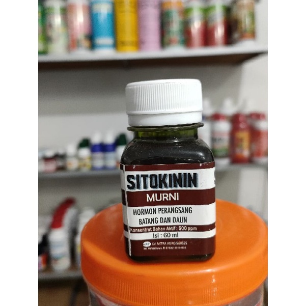Jual Hormon untuk pertumbuhan batang dan daun SITOKININ MURNI dari MAS ...