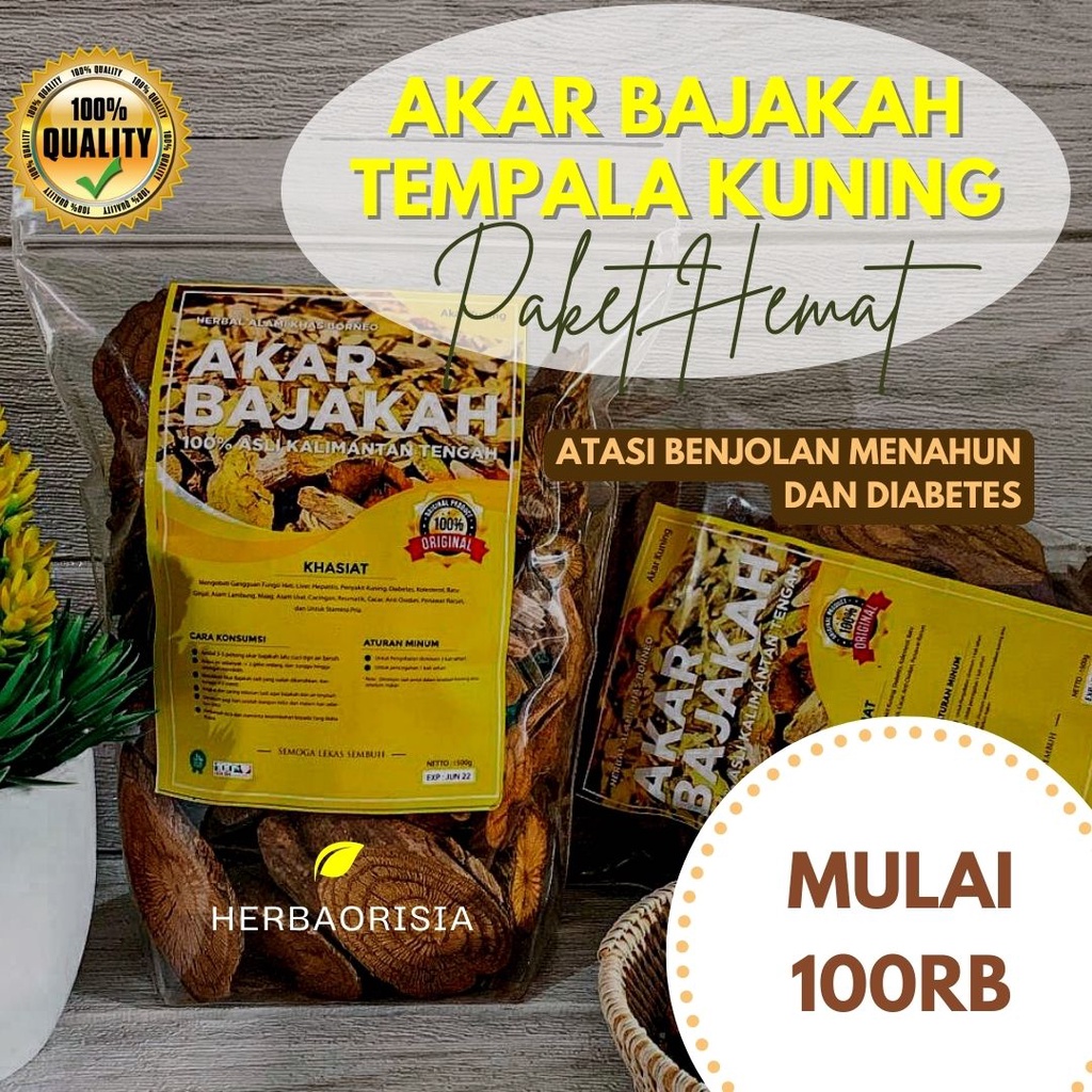 Jual akar kayu bajakah asli kalimantan 2 kg tempala kuning | Shopee ...