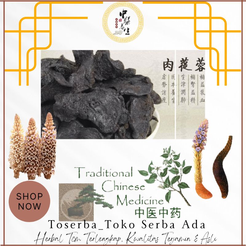 Jual 100gr Herbal Rou Cong Rong 肉苁蓉 Cistanche Deserticola ...