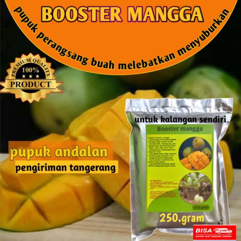 Jual Pupuk Booster Mangga Organik Perangsang Buah Pelebat Buah dan Bunga isi 250 gram Termurah ...