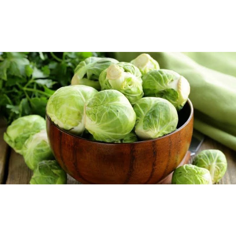 Jual 5 Butir - Benih Bibit Biji Brussel Kol Mini Brussels mini | Shopee ...