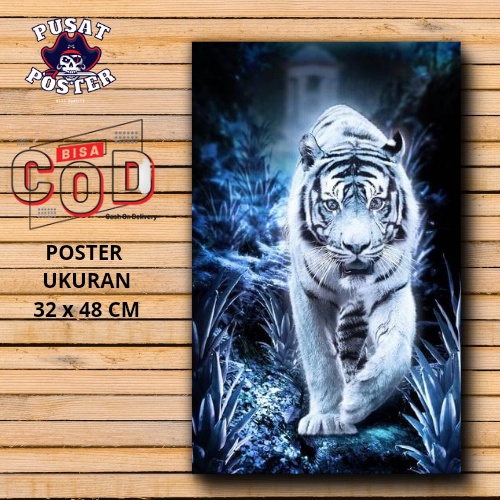 Jual POSTER MACAN PUTIH - FOTO MACAN PUTIH - POSTER HEWAN - POSTER ...