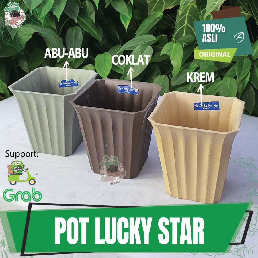 Jual Pot Tanaman Hias Bunga Lucky Star Pot Mini Kaktus Cactus Indoor ...