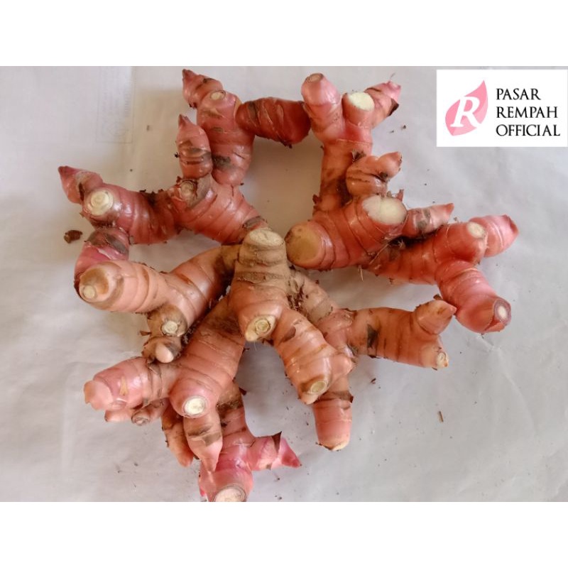 Jual Lengkuas segar 1kg | Shopee Indonesia