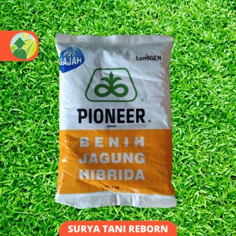 Jual Benih Jagung Pioneer P27 Lumigen 1Kg Cap Pioneer Corteva ...