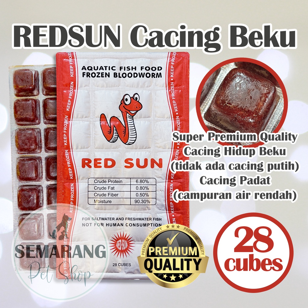 Jual PREMIUM Frozen Bloodworm RED SUN Cacing Darah Beku 100gr Cabek ...