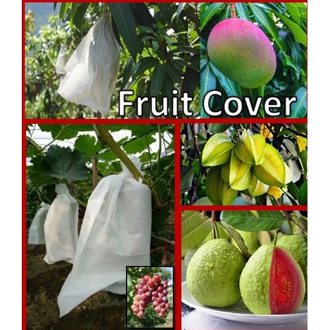 Jual Fruit Cover - Pelindung Buah di pohon Type L - 25 cm x 30 cm ...