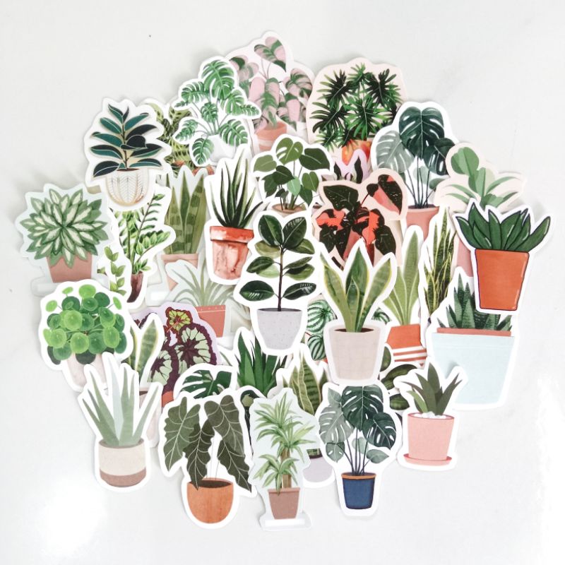 Jual [𝐓𝐨𝐭𝐚𝐥 𝐨𝐫𝐝𝐞𝐫𝐚𝐧 𝐝𝐢 𝐛𝐚𝐰𝐚𝐡 𝟏𝟎𝐫𝐛, 𝐓𝐢𝐝𝐚𝐤 𝐝𝐢𝐩𝐫𝐨𝐬𝐞𝐬] Stiker Pot Bunga ...