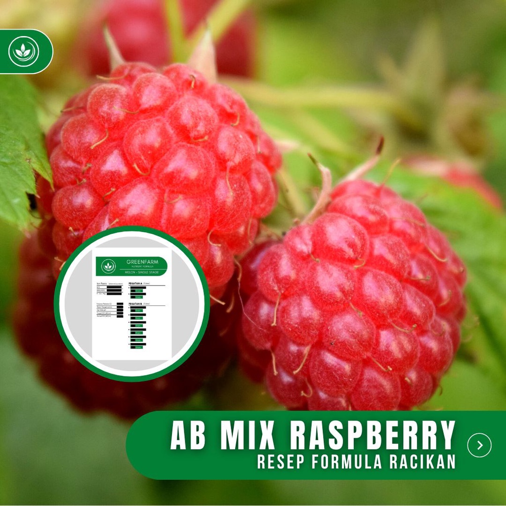Jual Resep AB Mix Raspberry Formula Racikan Nutrisi Pupuk Buah ...