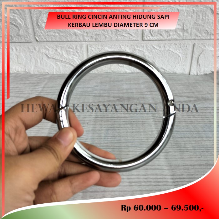 Jual Bull Ring Cincin Anting Hidung Sapi Kerbau Lembu Bahan Stainless ...