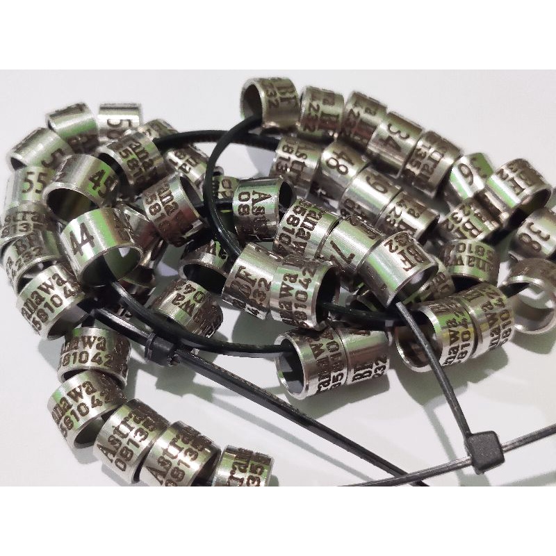 Jual Ring merpati baja laser stainless asli anti potong | Shopee Indonesia