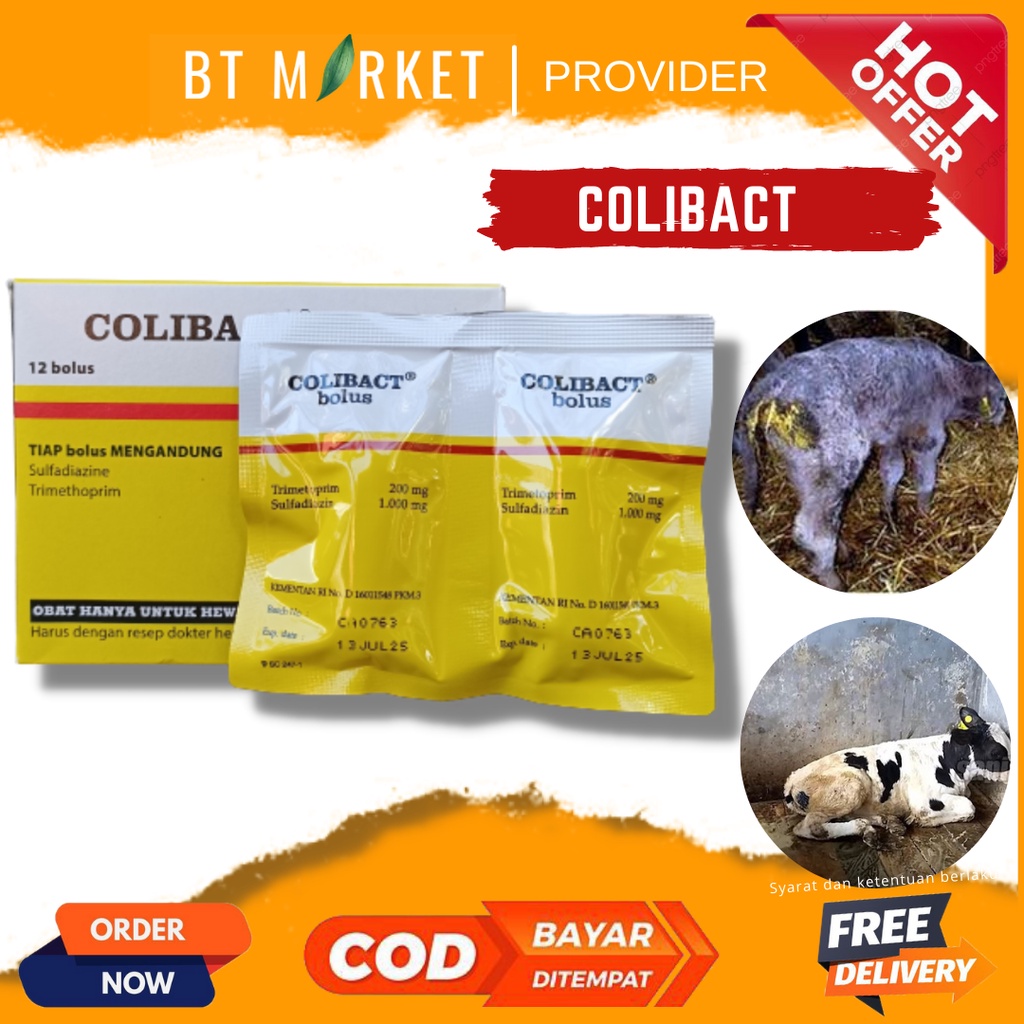 Jual COLIBACT 1 BOLUS SANBE - Obat Antibakteri Hewan Ternak Berdaya ...
