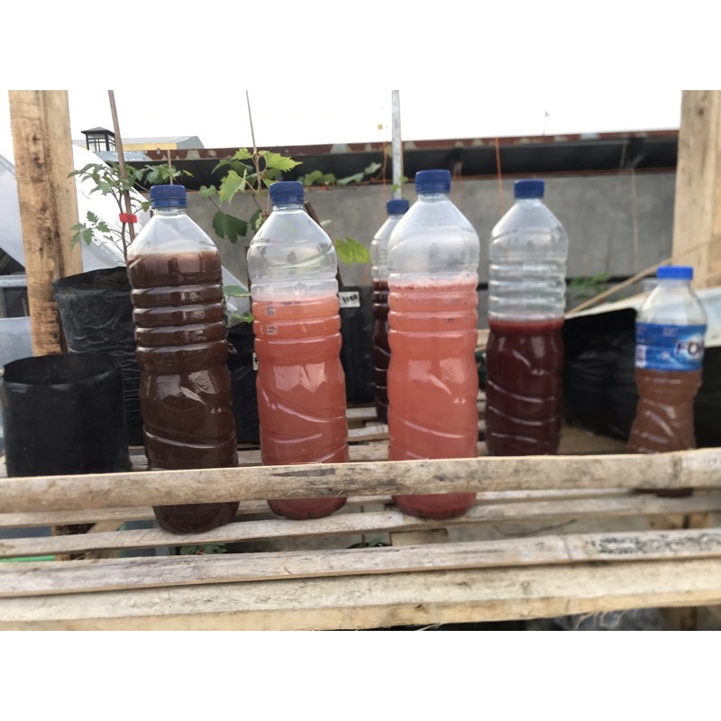 Jual Pupuk Organik PSB 500ml Bakteri fotosintesis | Shopee Indonesia