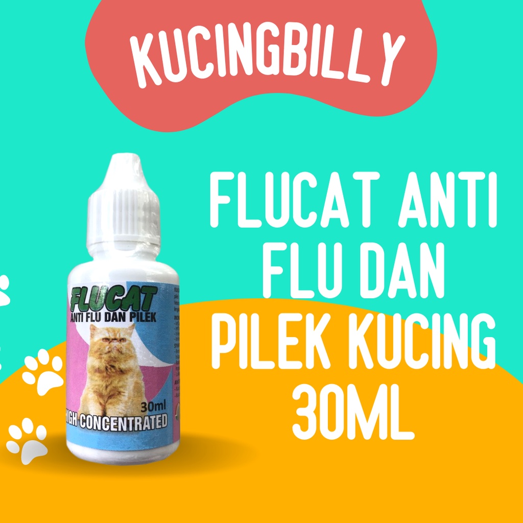 Jual Flucat obat flu pilek kucing 30ml | Shopee Indonesia