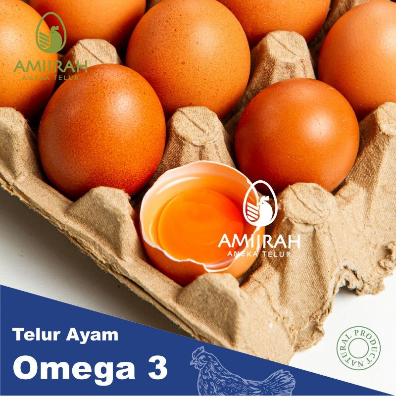 Jual Telur ayam negeri omega 3 per kg ( isi 15 -17 butir) | Shopee ...